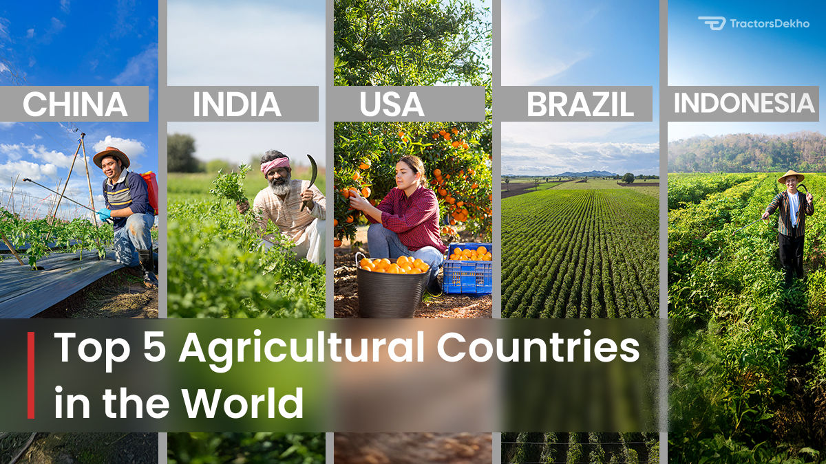 Top 5 Agricultural Countries in the World | Tractorsdekho.com