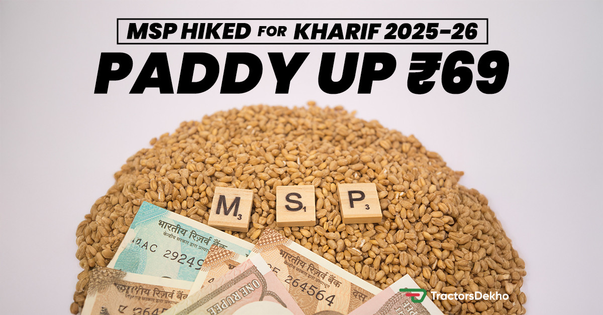Govt Hikes MSP for Kharif Crops 2025-26; Paddy Up by ₹69 | Tractorsdekho.com