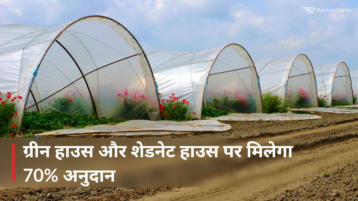 ग्रीन हाउस और शेडनेट हाउस पर मिलेगी 70% सब्सिडी, जानें आवेदन प्रक्रिया ...