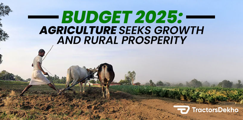 Budget 2025: Agriculture Seeks Growth and Rural Prosperity ...