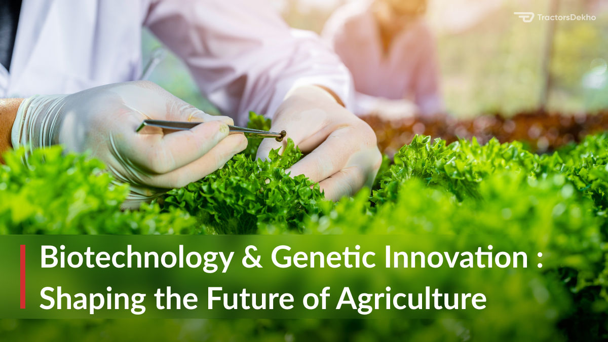 Biotechnology & Genetic Innovation: Shaping the Future of Agriculture ...