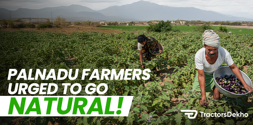 Palnadu Farmers Urged to Go Natural | Tractorsdekho.com