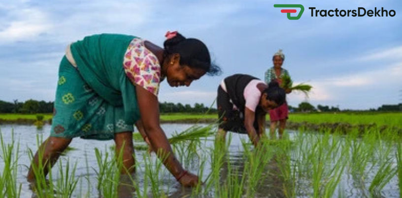 Expansion of Agricultural Infrastructure Fund Scheme Approved by Centre ...