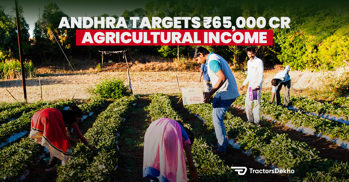 Andhra Pradesh Targets ₹65,000 Crore Gross Agricultural Income ...